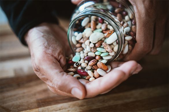 Cómo sembrar tu propia planta de frijol en casa: sigue el fácil paso a paso