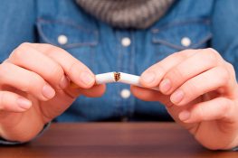 Azotadores: cómo ahuyentarlos de tu hogar y jardín