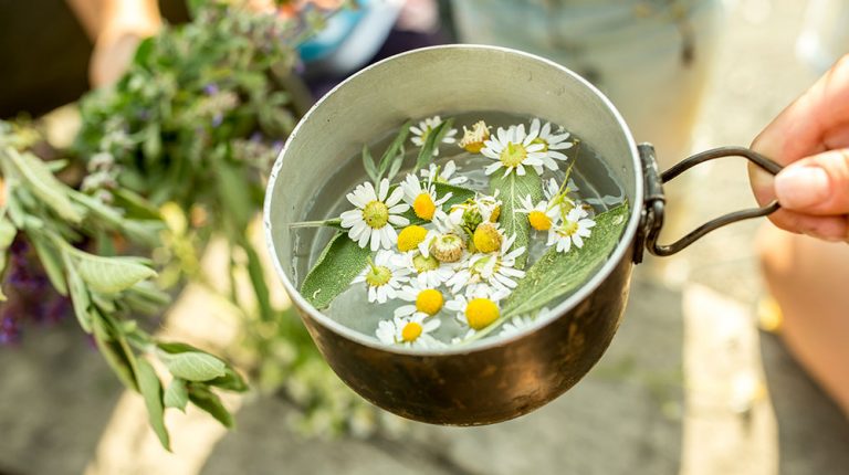 Té de manzanilla: descubre todos sus beneficios para tu salud