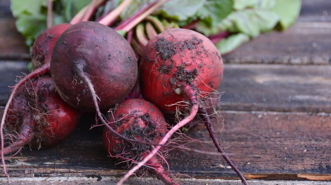 Beneficios del betabel que debes conocer para disfruarlo más