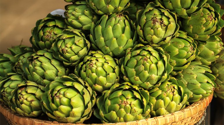 Té de alcachofa: conoce los saludables beneficios de esta bebida