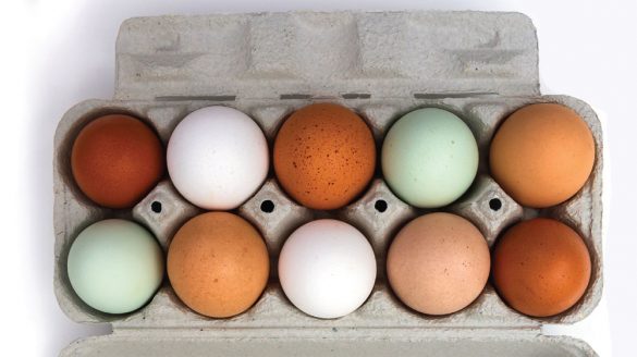 7 recetas con huevo cocido para el desayuno, la comida o la cena