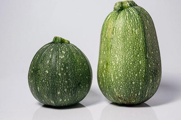 Calabaza criolla: te decimos cómo sembrarla fácilmente en tu jardín