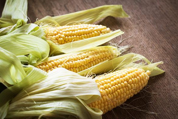 La leyenda del maíz y otros datos interesantes de este alimento mexicano