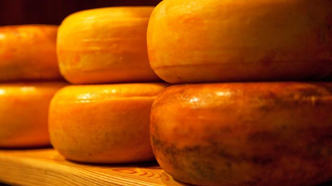 Tipos de queso que tienes que conocer, guía básica