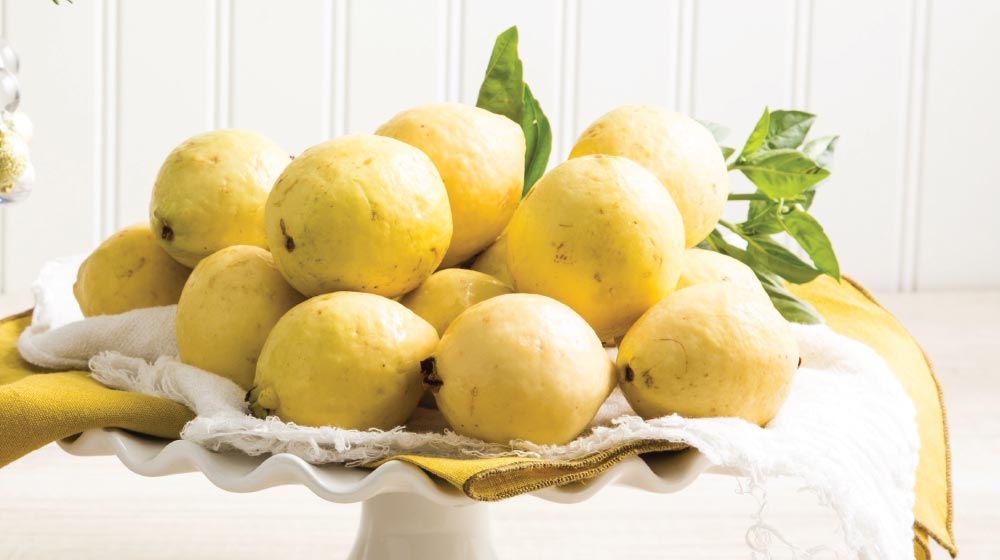 15 recetas de temporada hechas con guayaba muy fáciles