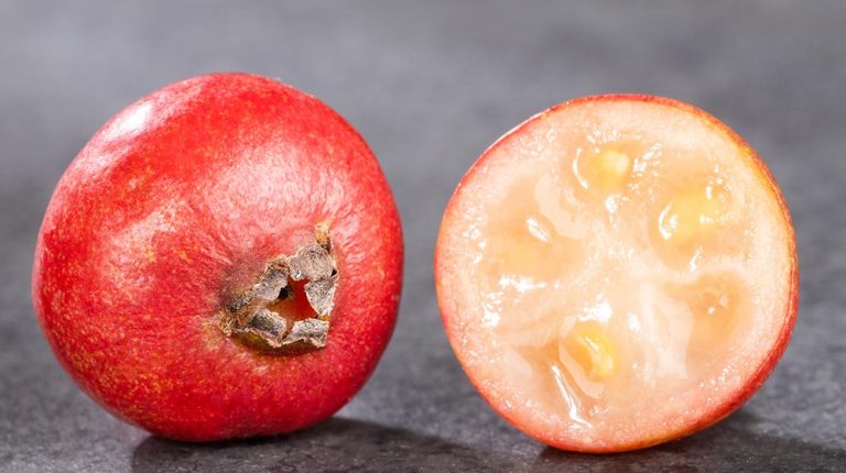 15 recetas de temporada hechas con guayaba muy fáciles