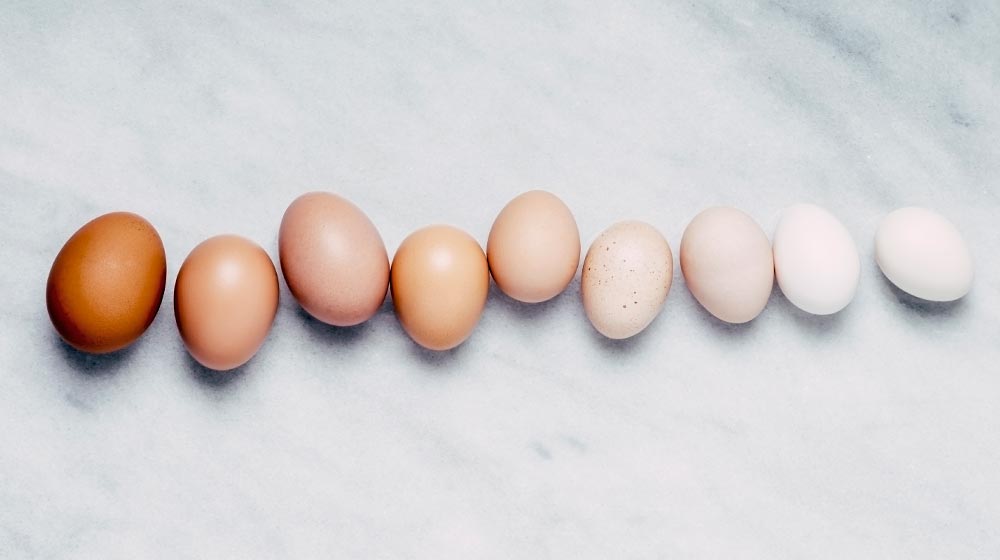 Huevo blanco o huevo rojo: mitos y verdades de este alimento