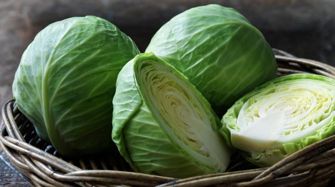 Beneficios de la col para llevar una dieta saludable