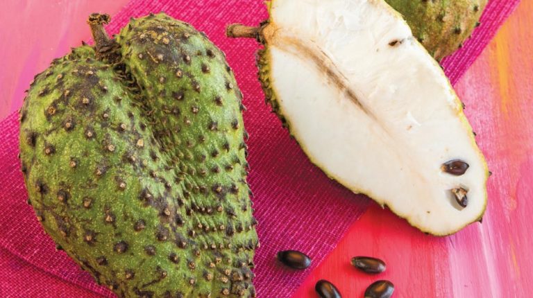 10 deliciosas recetas con guanábana realmente irresistibles