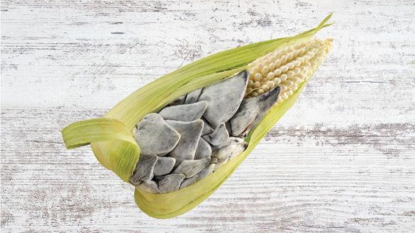10 recetas con huitlacoche y sus increíbles beneficios