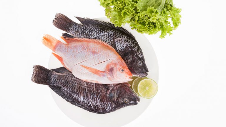 3 deliciosas formas para preparar una mojarra fácilmente