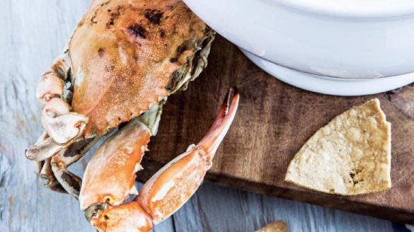 5 recetas con jaiba con todo el sabor de la temporada