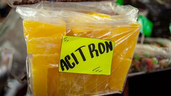 ¿Qué es la biznaga y por qué está en peligro de exintición?