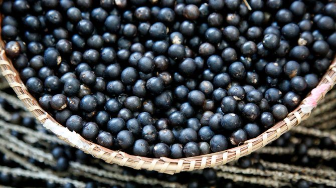 Acaí berry: 10 propiedades de este fruto para tu salud y belleza