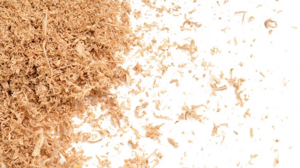 Aserrín: 8 usos prácticos que le puedes dar en tu casa y jardín