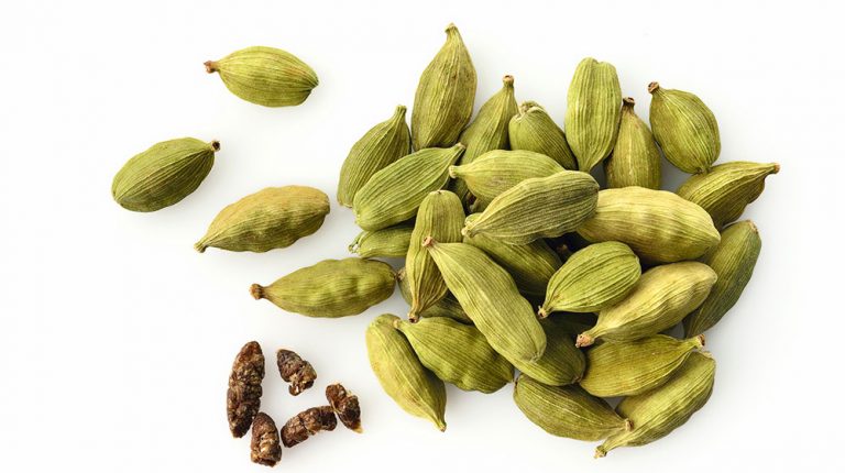 ¿Qué es el cardamomo y cuáles son sus beneficios?