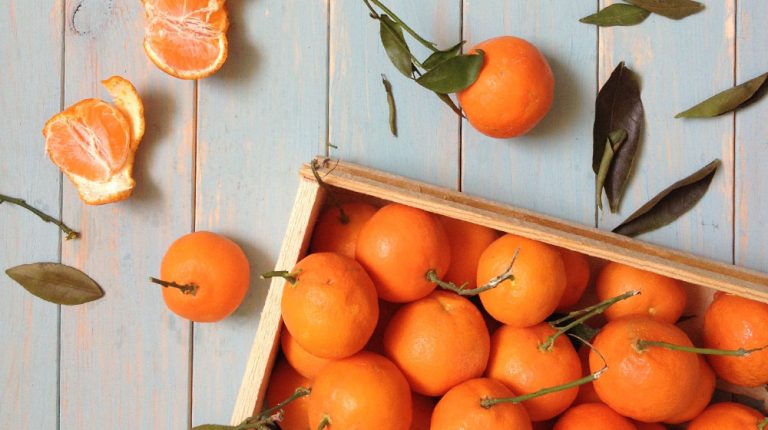 Beneficios de la mandarina: la mejor fruta para comer esta temporada