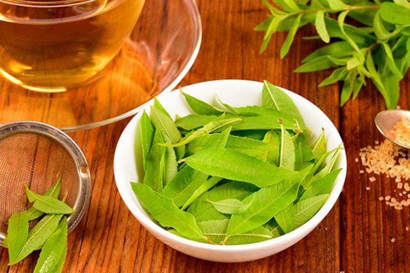 Té de cedrón: descubre sus beneficios y cómo prepararlo