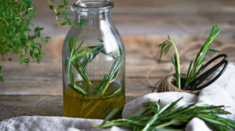 Té de romero: ¿por qué debes tomarlo en la época decembrina?