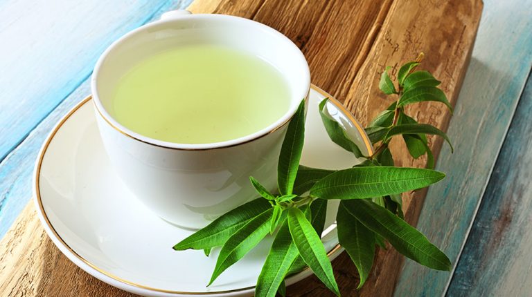 Té de cedrón: descubre sus beneficios y cómo prepararlo