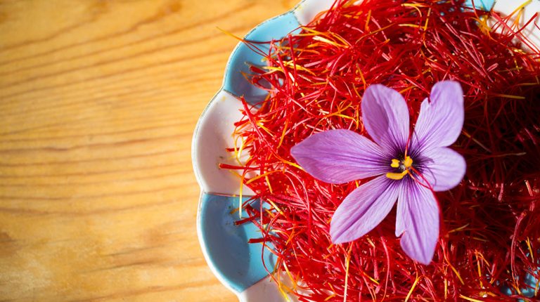 Azafrán: conoce sus beneficios y aprende a prepararlo en té