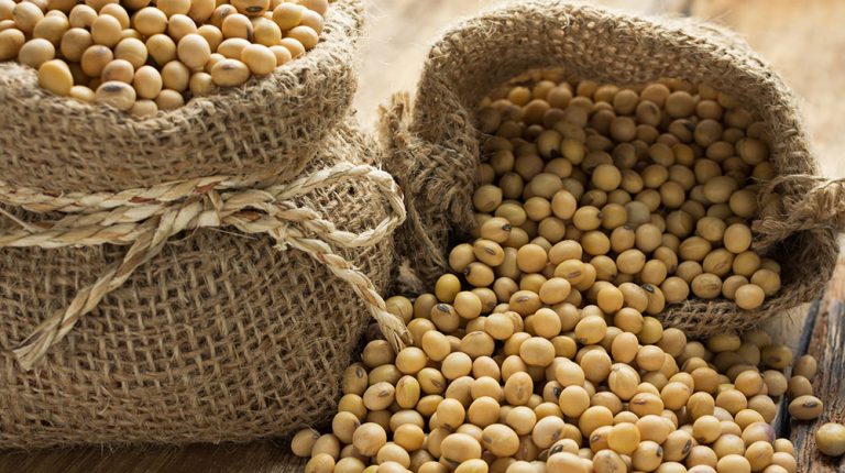 Soya: 10 propiedades y recetas que beneficiarán tu salud