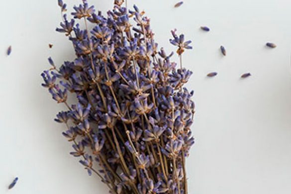 Para qué sirve el té de 7 azahares: descubre sus beneficios