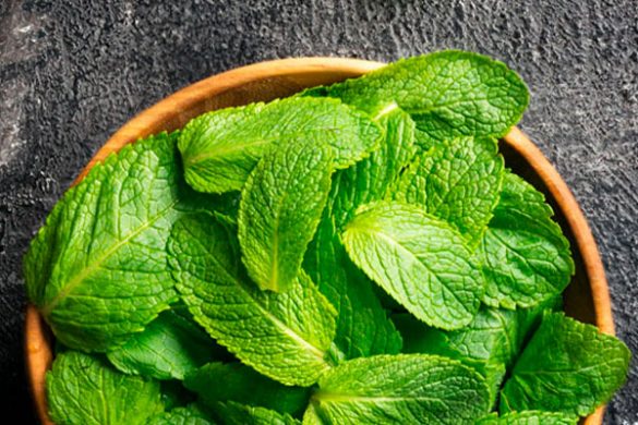 Hierbas de olor: guía rápida para aprender a usarlas al cocinar