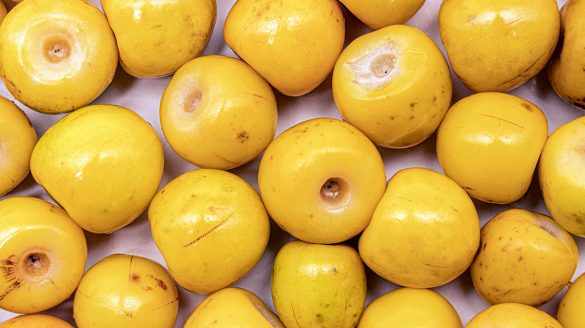 Nanche: descubre los beneficios de esta fruta de origen prehispánico