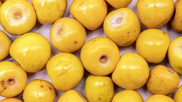 Nanche: descubre los beneficios de esta fruta de origen prehispánico