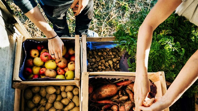 ¡Compras verdes! ¿Por qué es importante adquirir productos orgánicos?