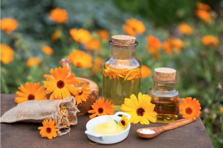 Beneficios de la caléndula para la piel: qué cura y cómo se usa