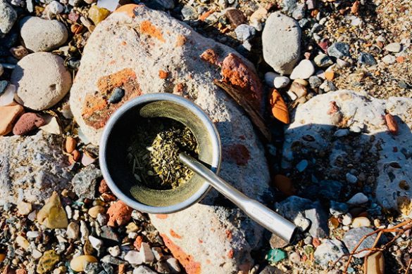 Que es el mate: descubre las propiedades de este alimento