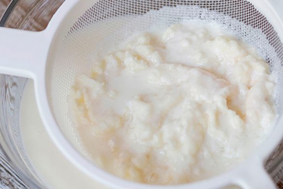 Búlgaros: qué son y cuáles son los beneficios de su leche