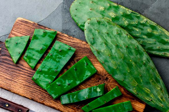 Baba de nopal para tu cabello y fortalecerlo de la raíz a la punta