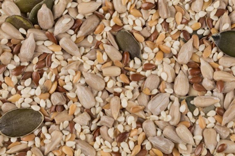 Cuáles son las mejores semillas comestibles y sus beneficios para la salud