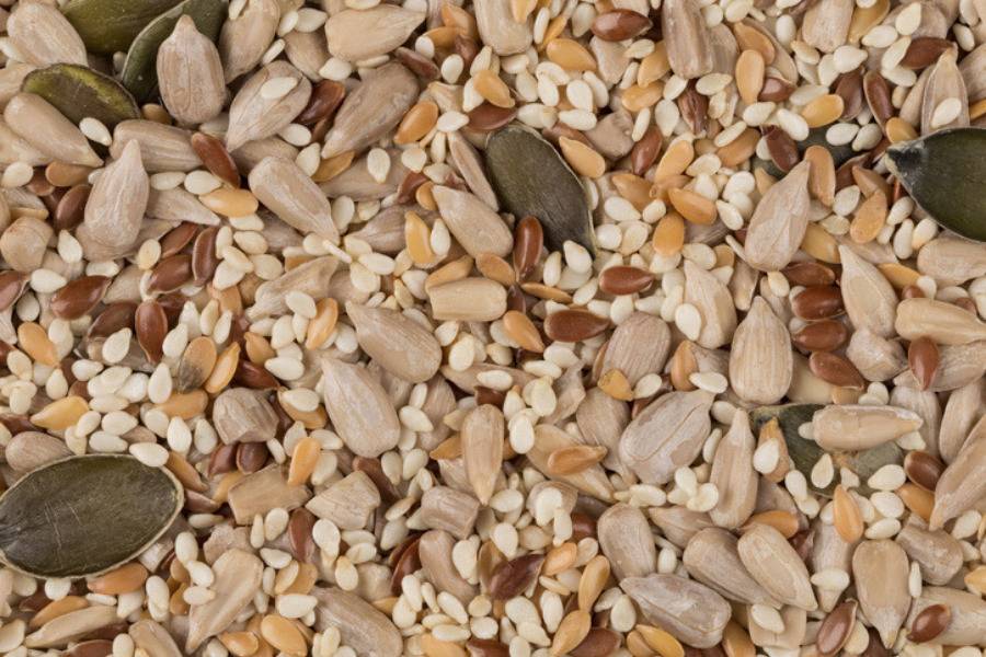 Cuáles son las mejores semillas comestibles y sus beneficios para la salud