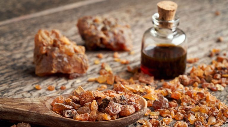 Mirra: conoce sus usos y beneficios para cuidar tu salud