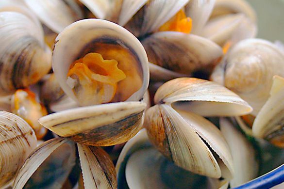 Tipos de mariscos más saludables para consumir esta Cuaresma