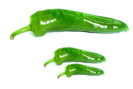 Chile chilaca en rajas con papas y crema: receta mexicana tradicional