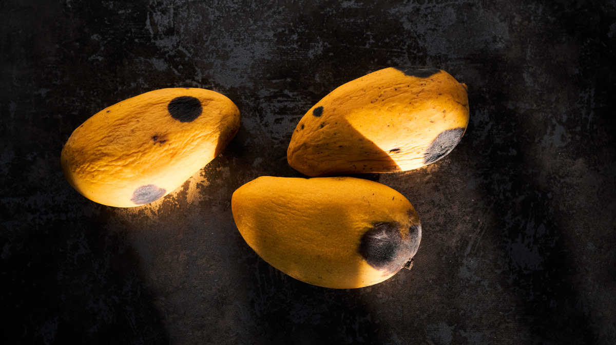 Cómo evitar que el mango se ponga negro: sigue estos tips