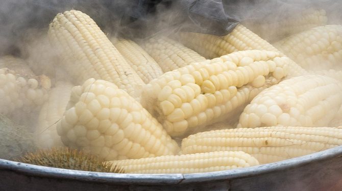 Cómo cocer elotes enteros para que queden en su punto